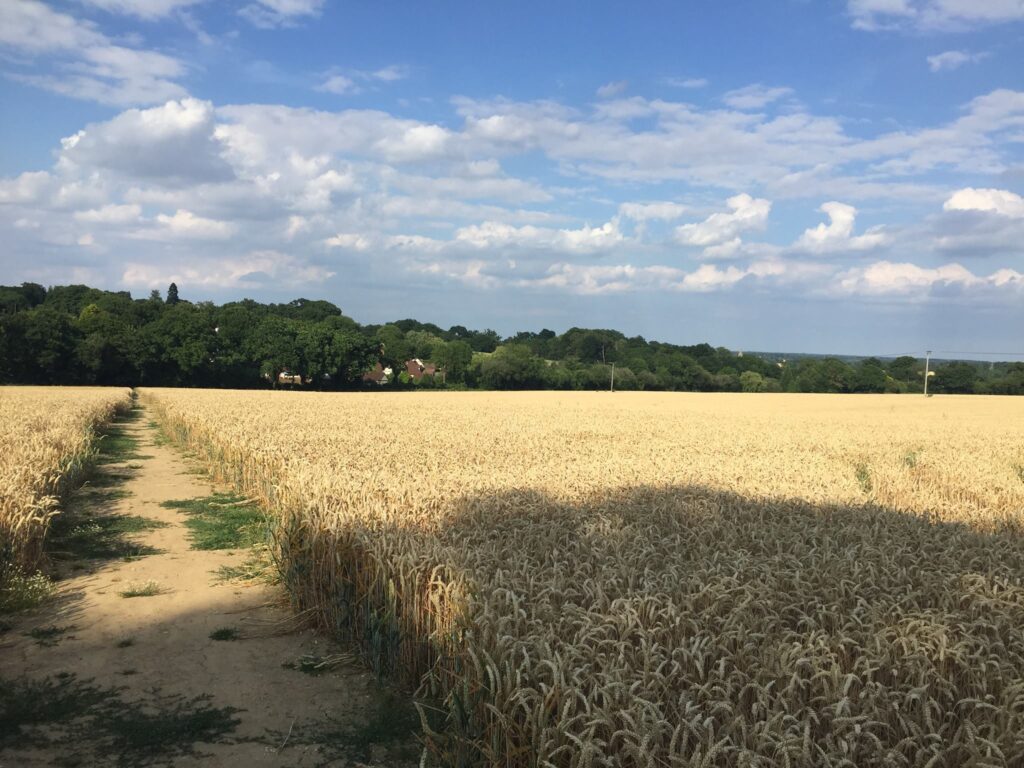 Community information